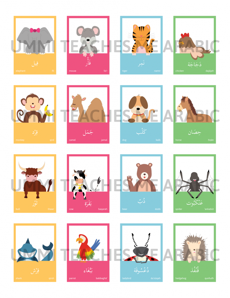 Animals in Arabic flash cards