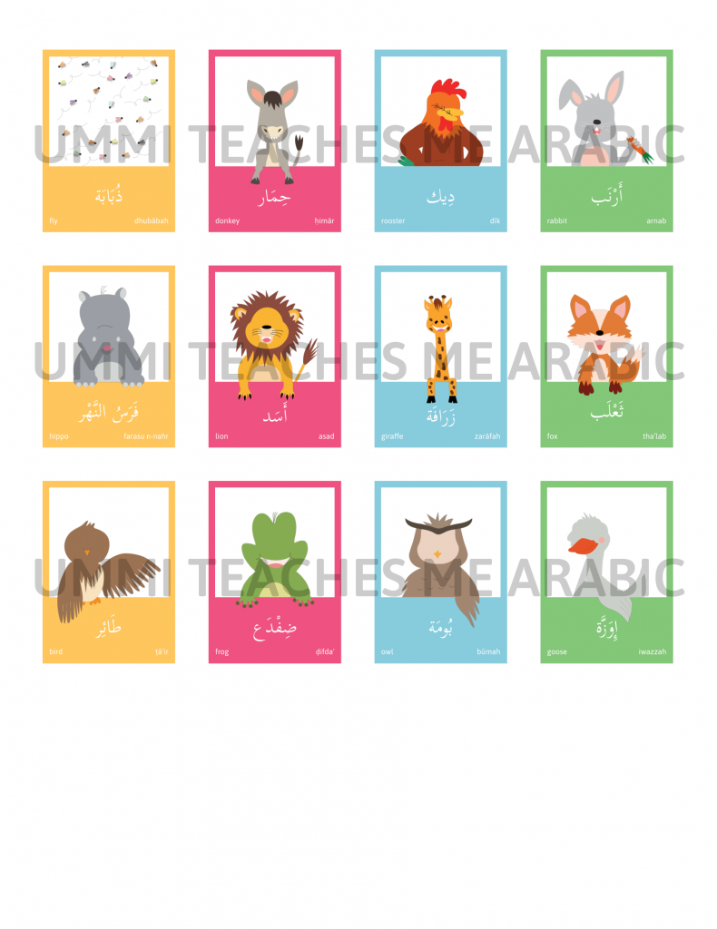Animals in Arabic flash cards