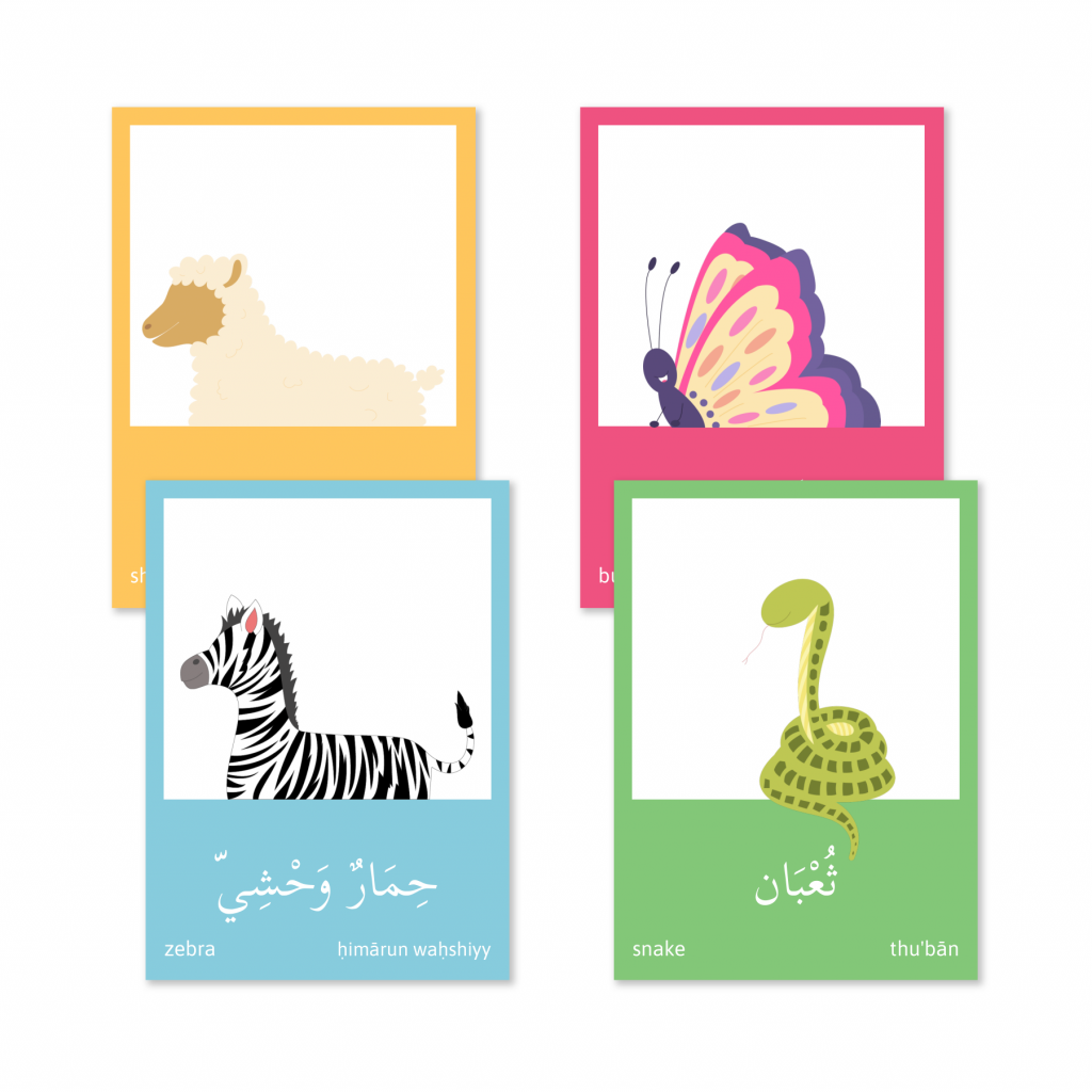 Animals in Arabic flash cards (vol. 2)