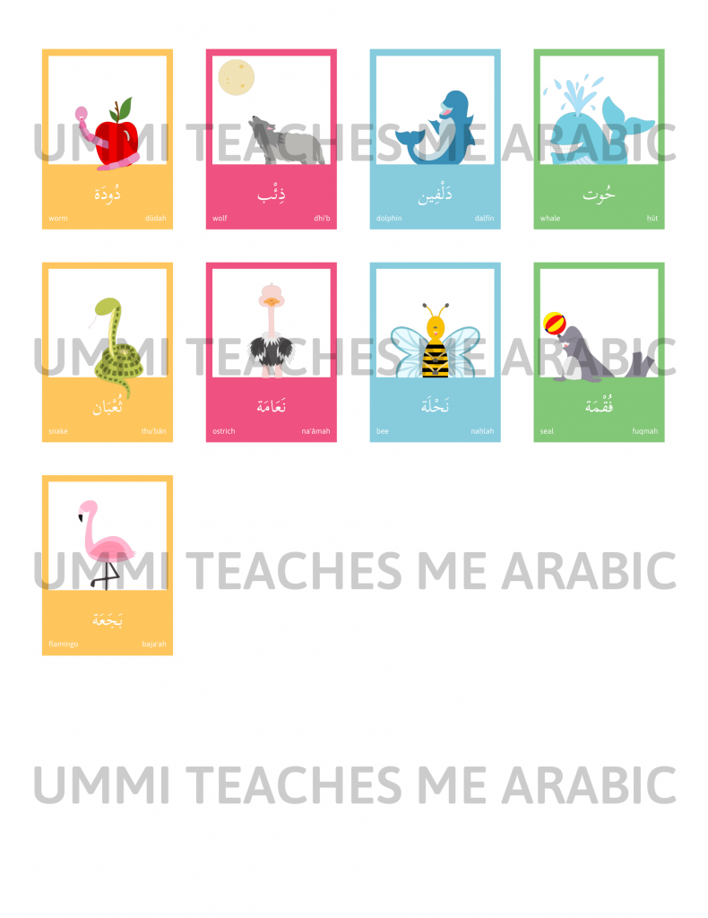 Animals in Arabic flash cards (vol. 2)